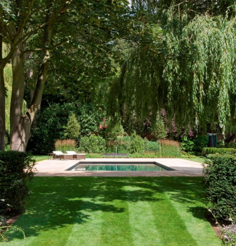 The Basics of Lawn Maintenance – BetterDecoratingBible